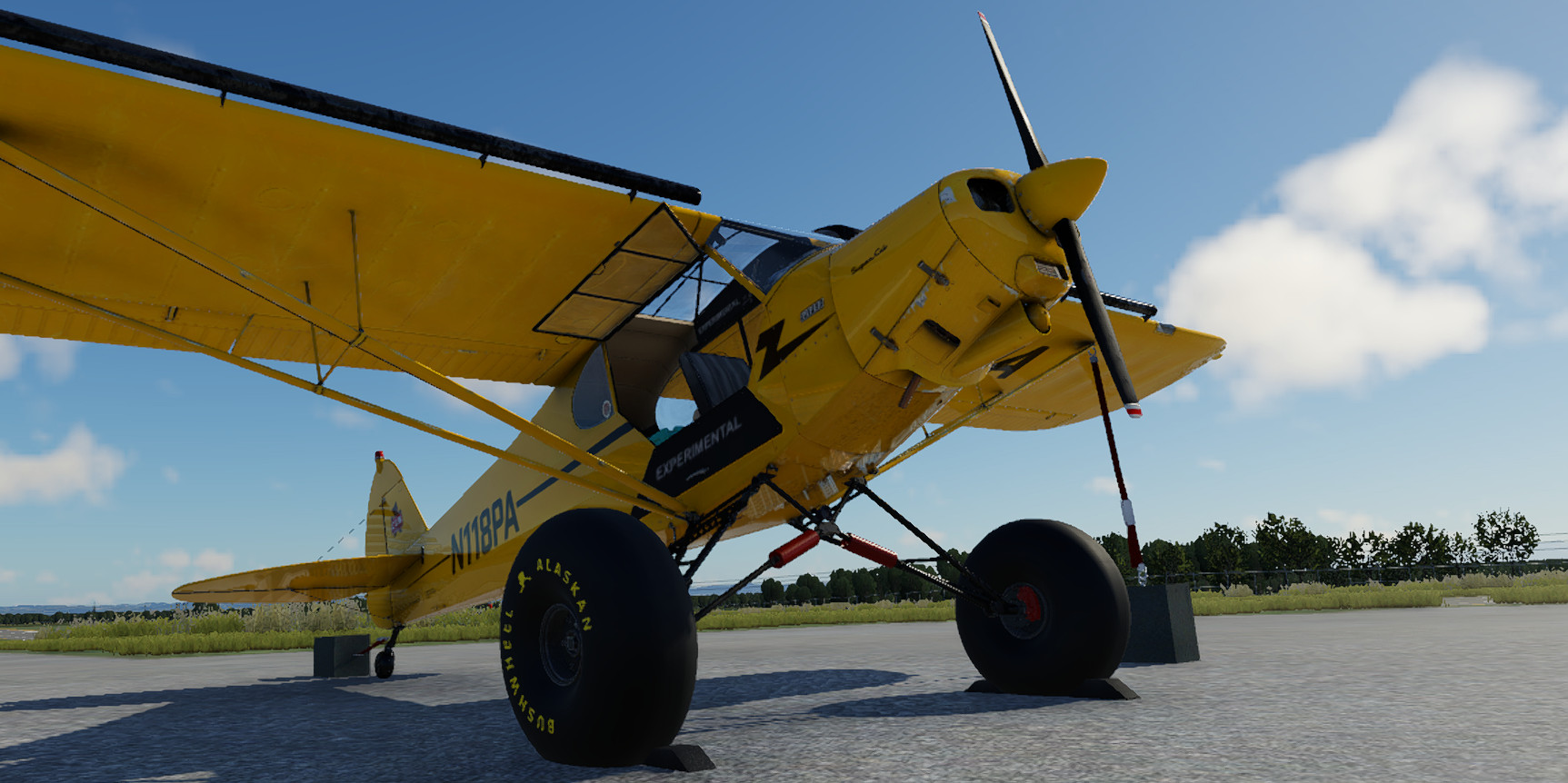 King Cub Upgrade: Reality Expansion Pack for X-Plane 12